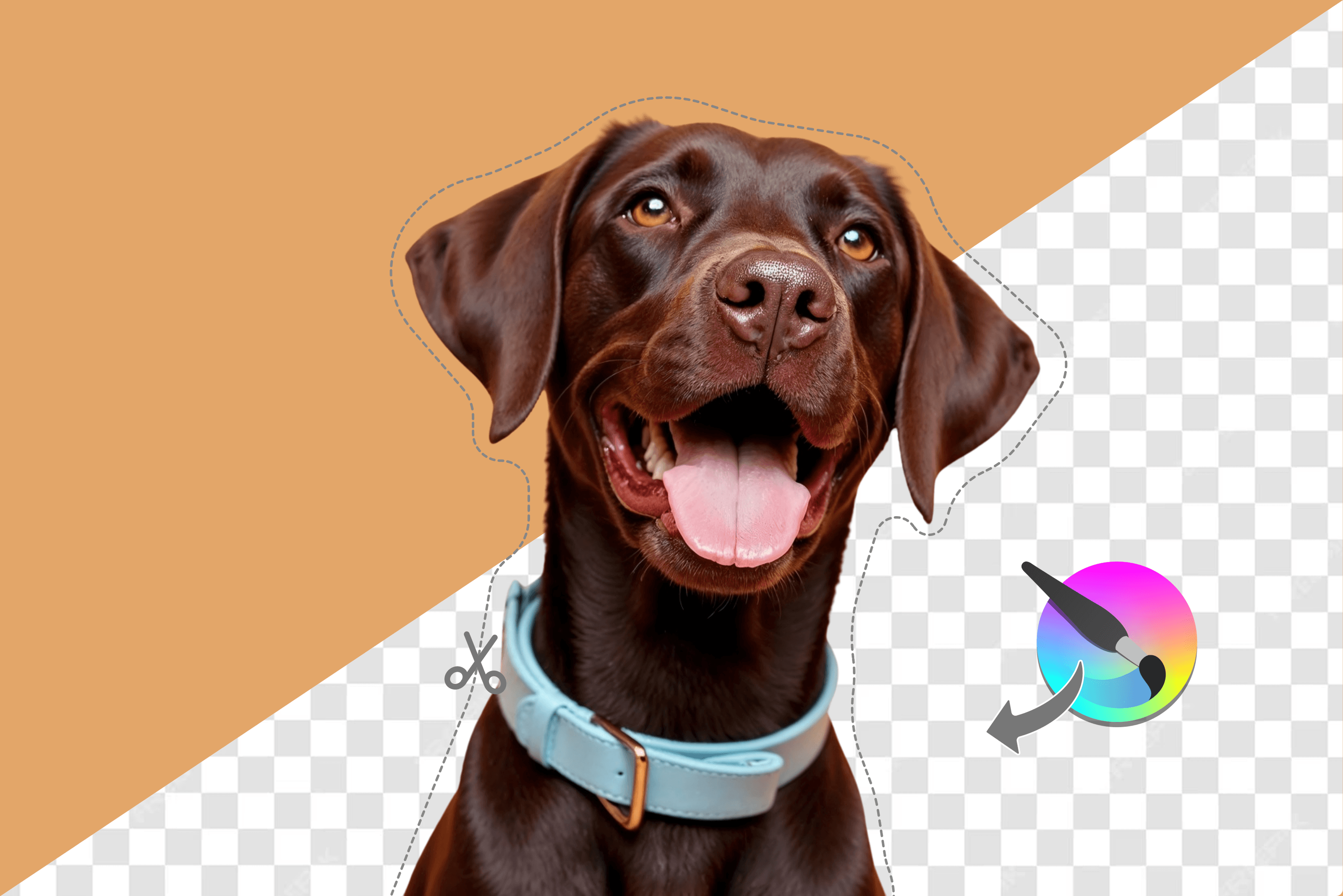 How to remove background in Adobe Express